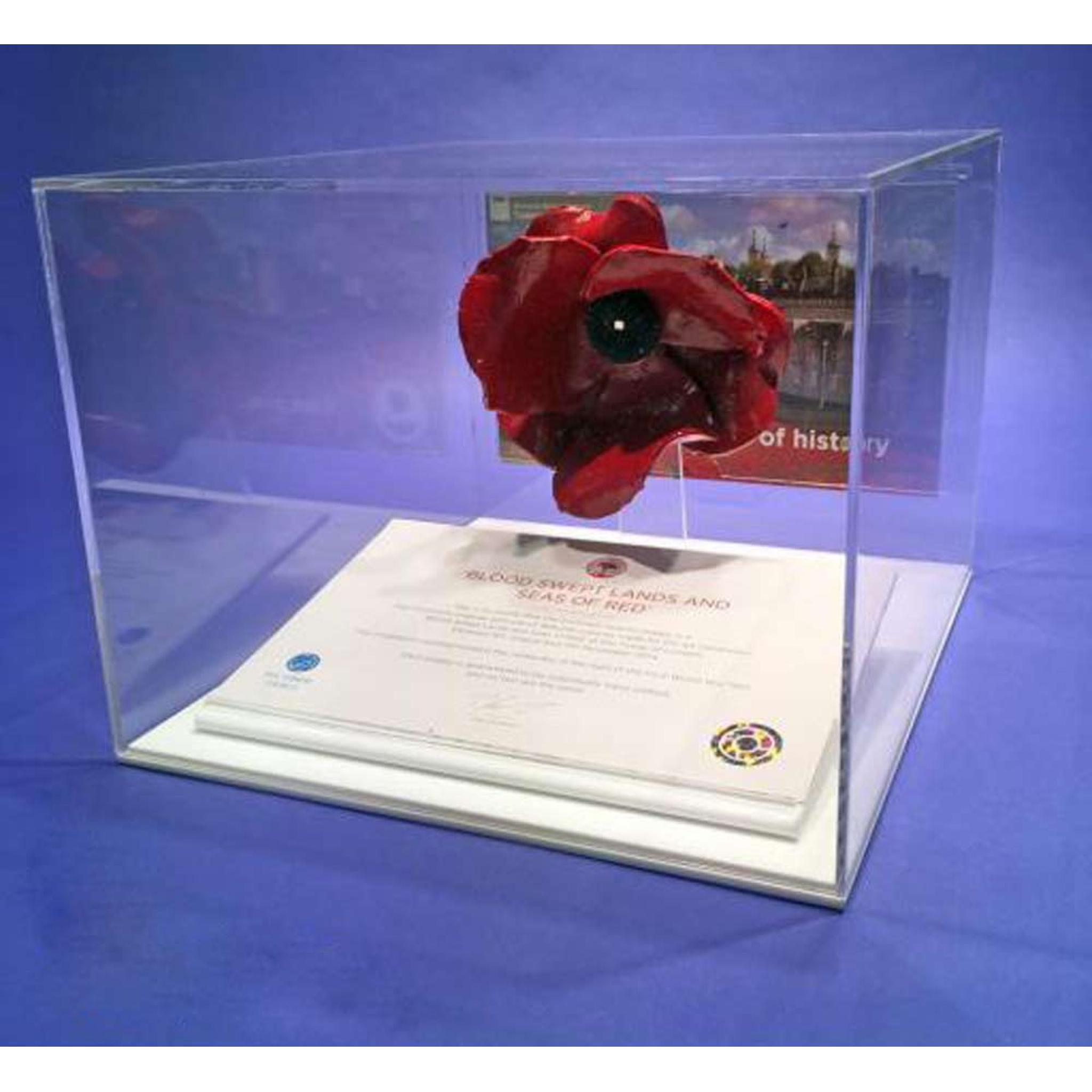 Poppy Display Case | Puffin Plastics