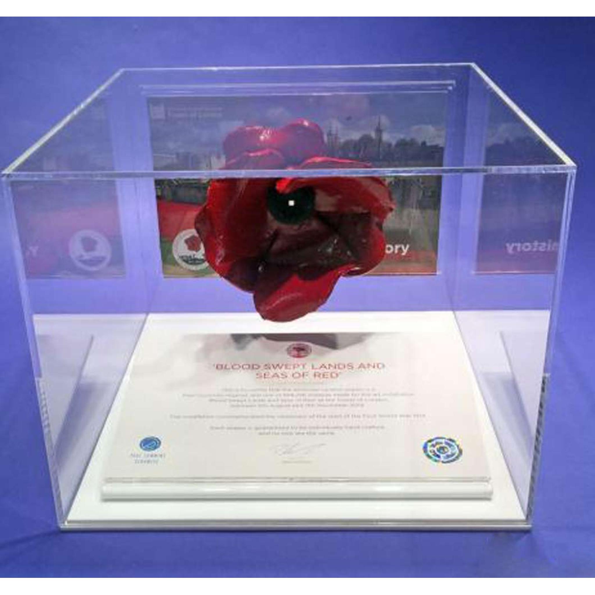Poppy Display Case | Puffin Plastics