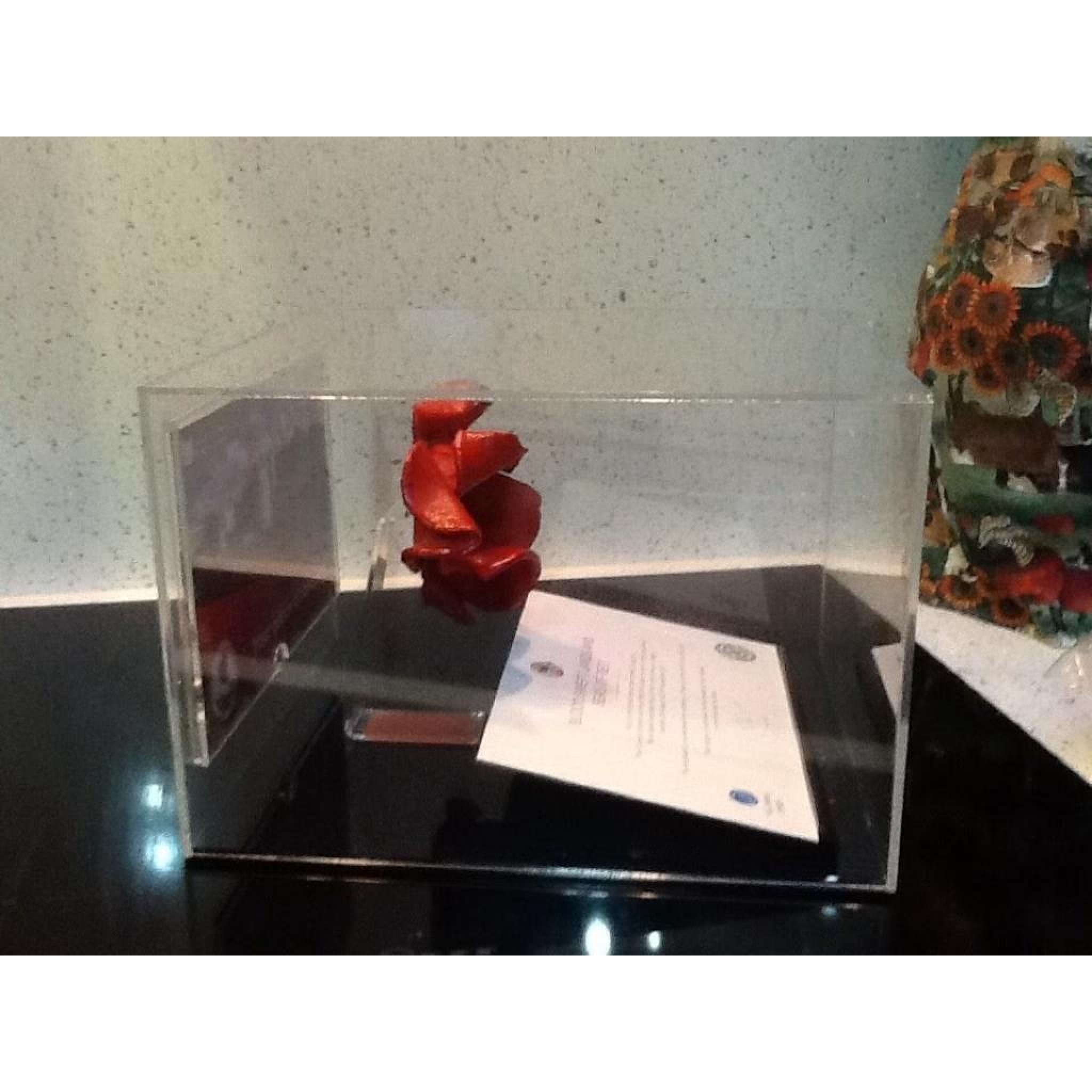 Poppy Display Case | Puffin Plastics