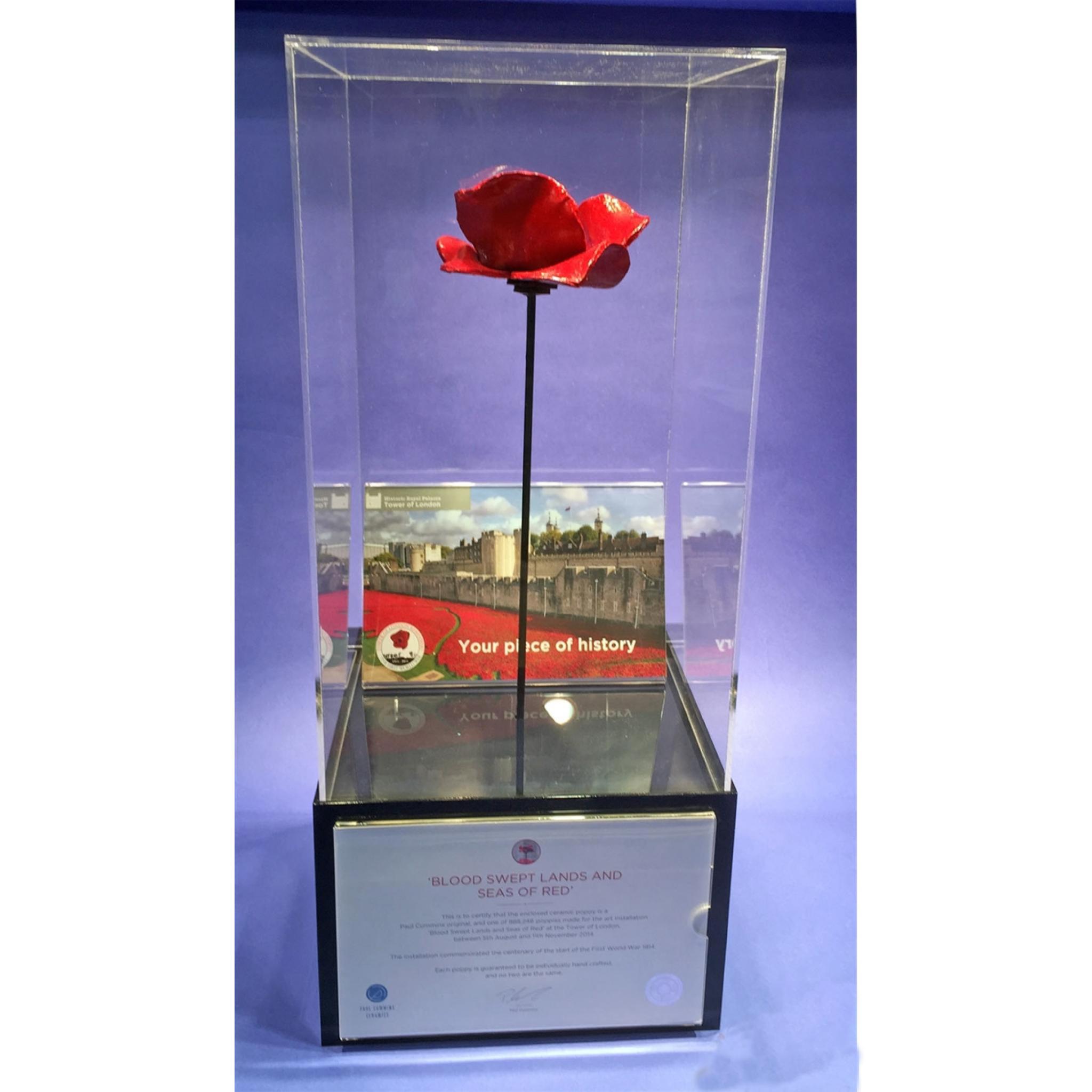 Poppy Display Case (WITH STEM) | Puffin Plastics